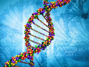 World-leading genome sequencing capability established in the Melbourne ...