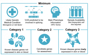 PERSYST - Pathogenic Evaluation of Recalcitrant Variants by Systematic ...